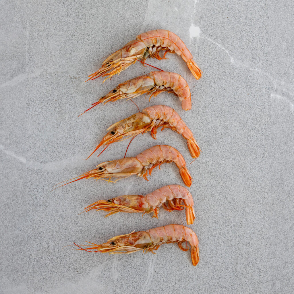 PRAWN PINK - PremFresh Seafood