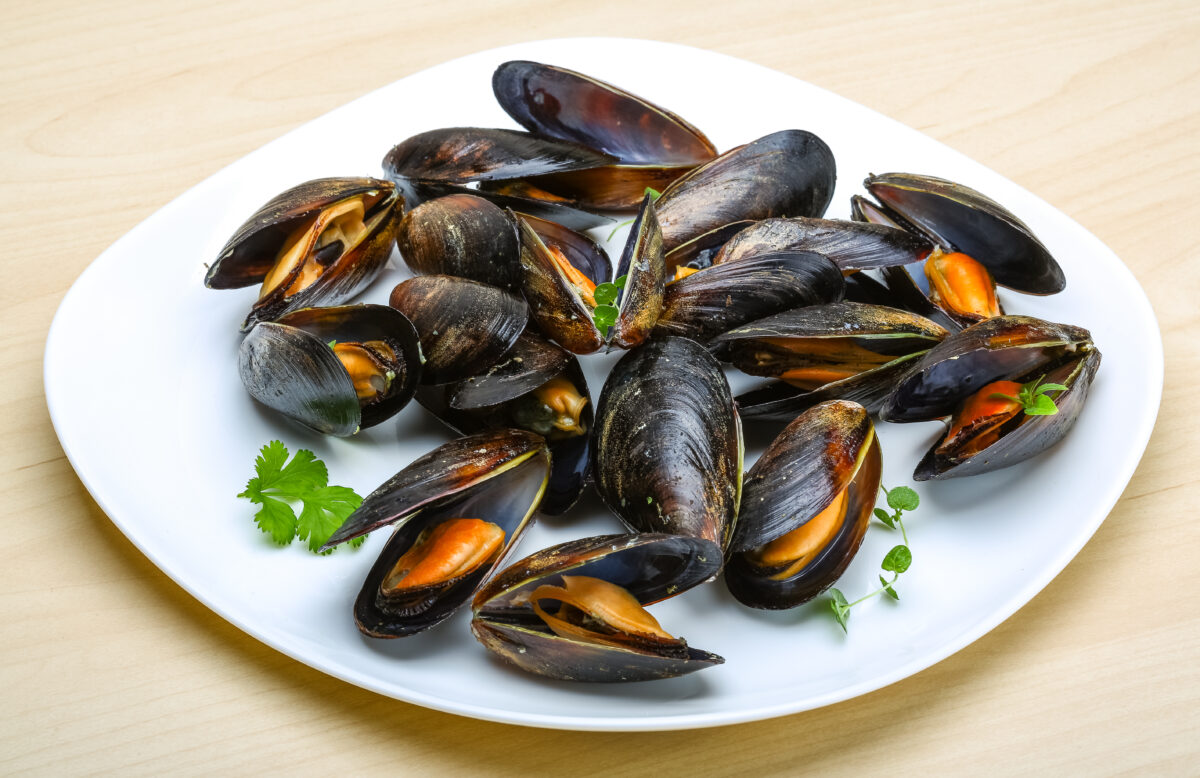 WHOLE SHELL MUSSELS | 800G - PremFresh Seafood